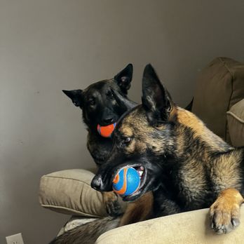 PREDMORE VETERINARY CLINIC - LAWRENCE M PREDMORE DVM - Updated December ...