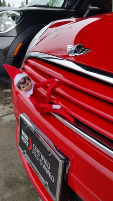 MINI OF PORTLAND - Updated December 2025 - 63 Photos & 278 Reviews ...