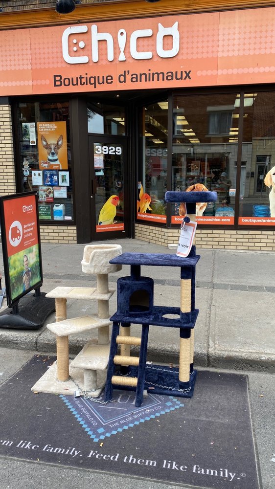 CHICO - Updated August 2025 - 2016 Avenue du Mont-Royal E, Montréal ...