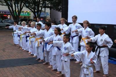 MINAKAMI KARATE DOJO - Updated December 2025 - 13035 Linden Ave N ...