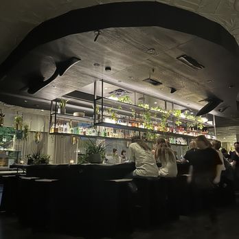 ARLO GREY BY KRISTEN KISH - Updated September 2024 - 1214 Photos & 454 ...