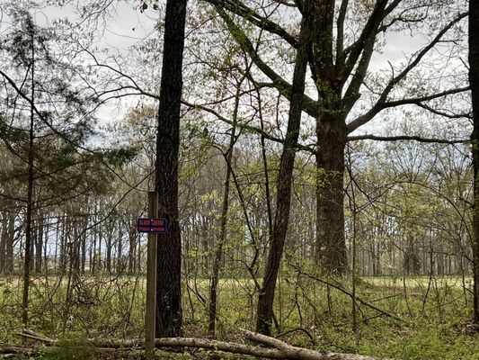 BIG CYPRESS TREE STATE PARK - Updated December 2025 - 20 Photos - 295 ...
