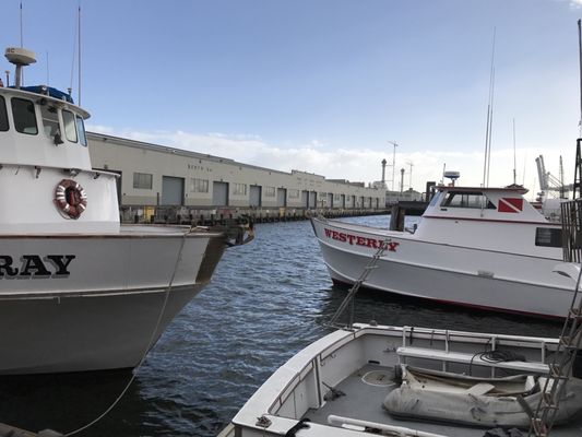 Berth 55 Fish Market and Seafood Deli - Takeout & Delivery - 1231 ...