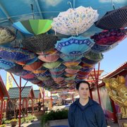 LUCKY LAND - 395 Photos & 36 Reviews - Cultural Center - 8625 Airline ...