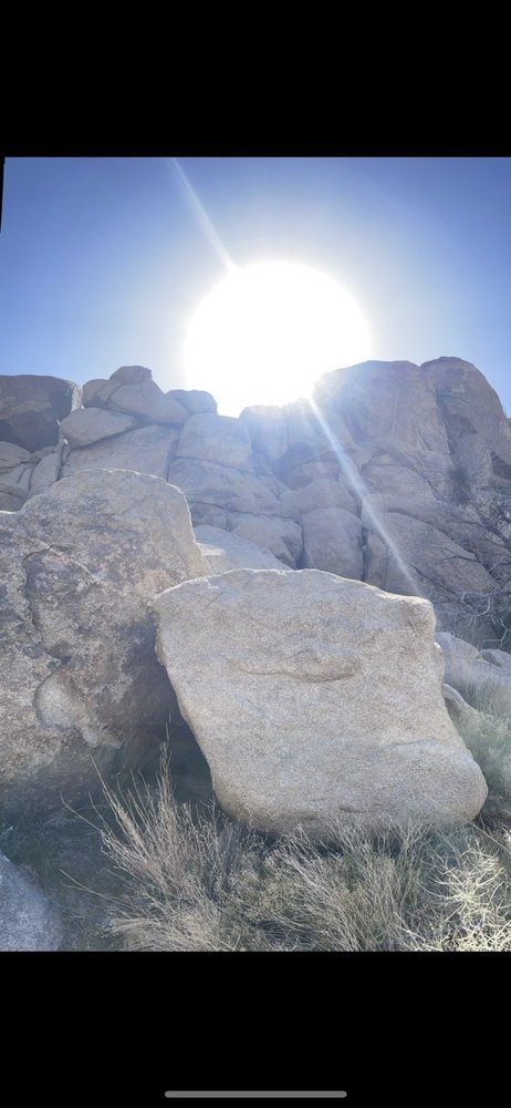 JOSHUA TREE MEMORIAL PARK - Updated July 2025 - 36 Photos - 60121, 29 ...