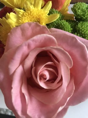 55 FULTON FLOWER SHOP - Updated April 2025 - 31 Photos - 55 Fulton St ...