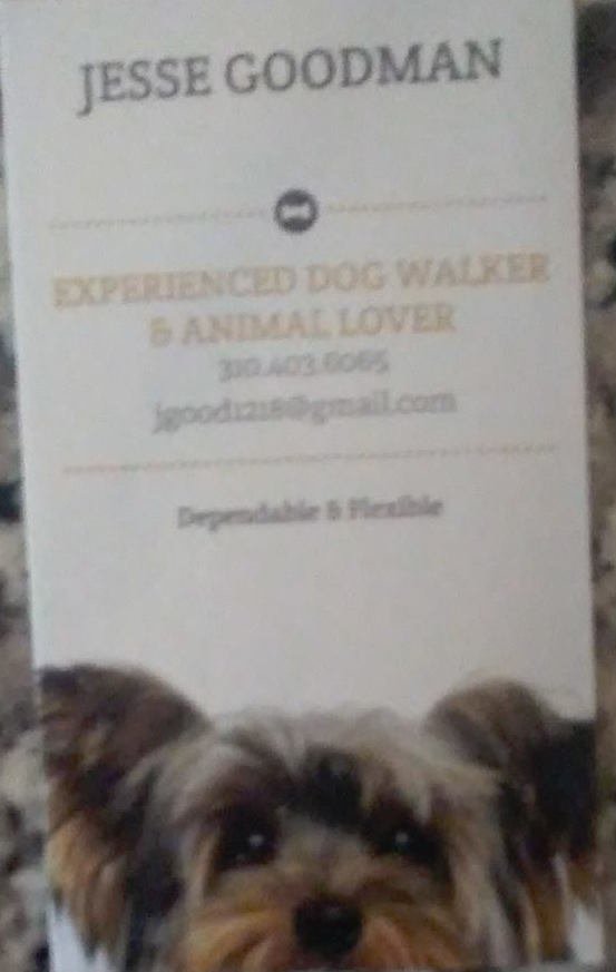 JESSE GOODMAN DOG WALKING - Updated July 2024 - Request a Quote - Santa ...