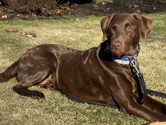 RUFF HOUSE RESCUE - Updated March 2025 - 145 Photos & 168 Reviews ...