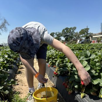 ATKINSON FARM - Updated December 2025 - 167 Photos & 74 Reviews - 3217 ...