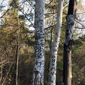 CLARK LAKE PARK - Updated January 2026 - 87 Photos & 34 Reviews - 12655 ...