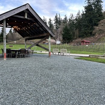 DANCING FISH VINEYARDS - Updated December 2025 - 62 Photos & 47 Reviews ...