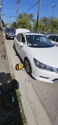 MULLER HONDA - Updated December 2025 - 52 Photos & 292 Reviews - 550 ...