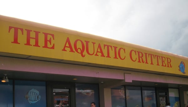 AQUATIC CRITTER - 56 Photos & 61 Reviews - Aquarium Services - 5009 ...
