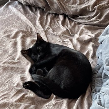 LOW COUNTRY ANIMAL RESCUE - Updated January 2026 - 14 Photos & 35 ...