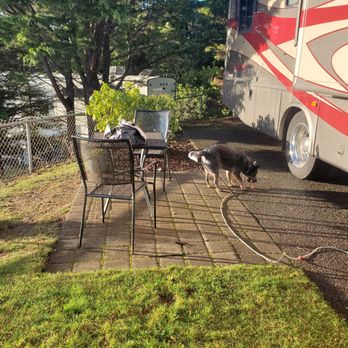 PREMIER RV RESORTS - Updated December 2025 - 56 Photos & 66 Reviews ...