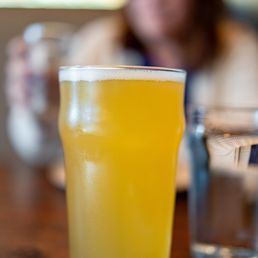 GOLDFINCH - Updated March 2026 - 352 Photos & 205 Reviews - 119 S Main ...