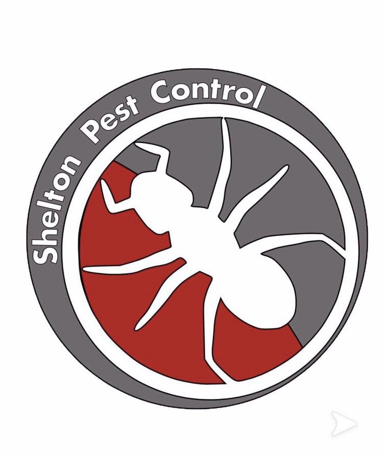 SHELTON PEST CONTROL - Updated October 2024 - 4621 Moorefield Memorial ...
