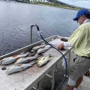 RICK’S BAIT TACKLE AND MARINE - Updated September 2024 - 14 Photos & 17 ...