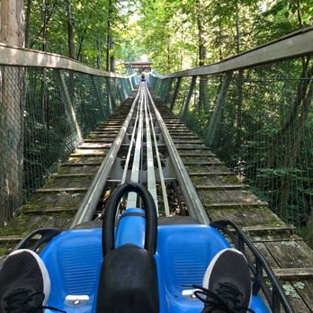 RIDGE RUNNER - Updated December 2025 - The Blue Mountains, Ontario ...