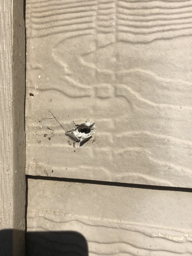 MOW MANAGERS - 52 Photos & 76 Reviews - Austin, Texas - Lawn Services ...