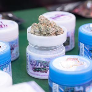 REBUD WESTWOOD - Updated June 2025 - 48 Photos - 1131 Glendon Ave, Los ...