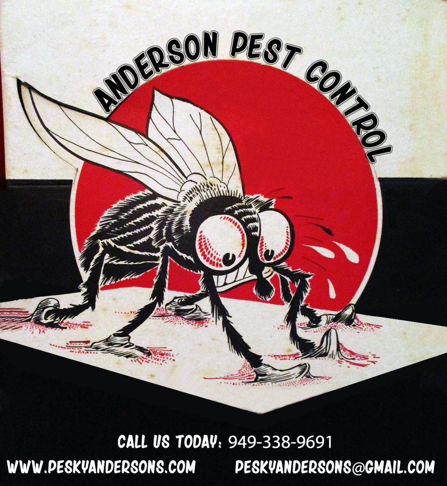 ANDERSON PEST CONTROL TERMITE & WOOD REPAIR - Updated October 2025 ...
