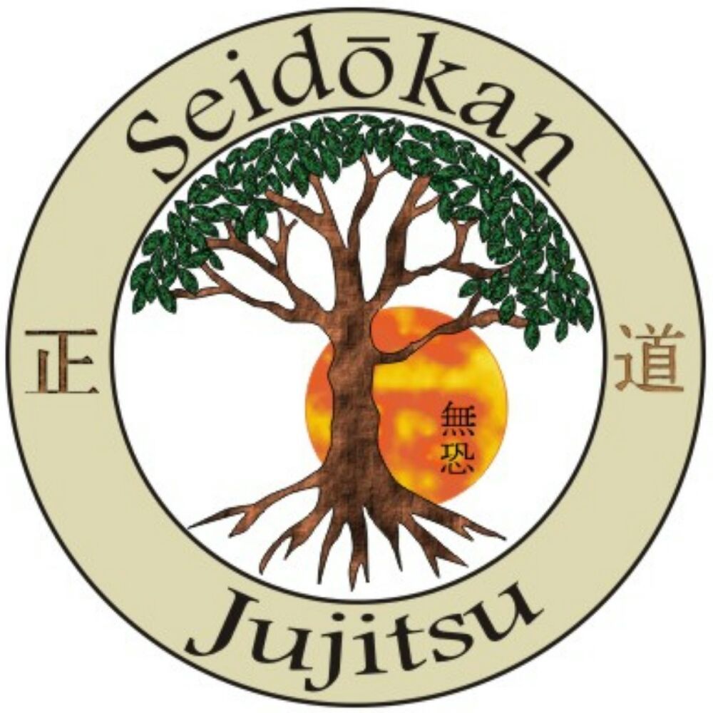 SEIDOKAN DANZAN RYU - Updated October 2025 - Sacramento, California ...
