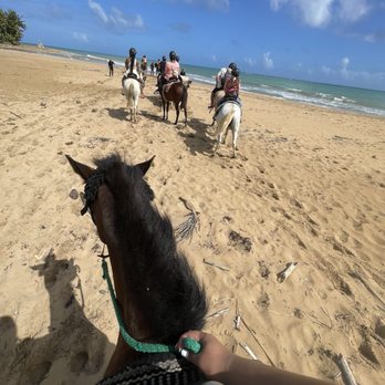 CARABALI RAINFOREST PARK - Updated 05/2025 - 1292 Photos & 713 Reviews ...