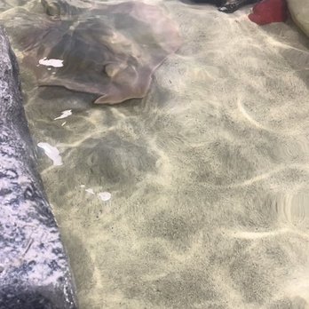 BLUE ZOO - Updated January 2026 - 149 Photos & 31 Reviews - 6401 ...