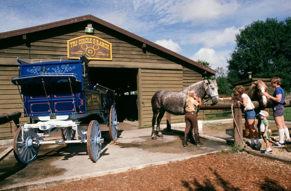 TRI-CIRCLE-D RANCH - Updated June 2024 - 36 Photos - 4510 Fort ...
