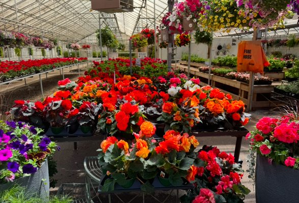 GOLDEN ACRE HOME & GARDEN - Updated January 2026 - 21 Photos & 23 ...