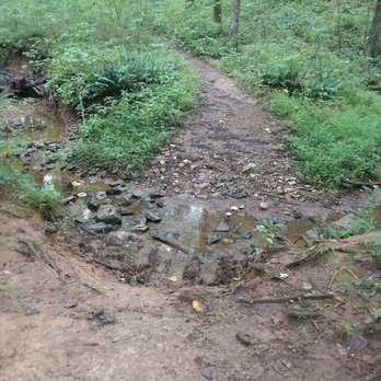 WHITNEY STATE FOREST - Updated December 2025 - 26 Photos - Lees Ridge ...