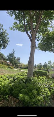 BLACKMORE RANCH PARK - Updated July 2025 - 14 Photos - 35979 Nutmeg St ...