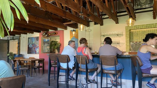 SLOW BODY BEER - Updated February 2025 - 51 Photos & 14 Reviews - 831 E ...