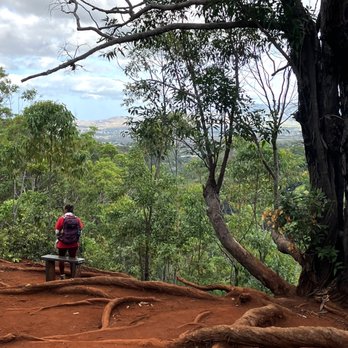 WAIMANO LOOP TRAIL - Updated January 2026 - 451 Photos & 90 Reviews ...