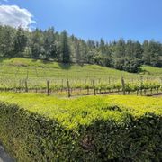 PINE RIDGE VINEYARDS - 641 Photos & 342 Reviews - Wineries - 5901 ...