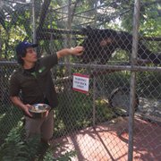ZOOLOGICAL WILDLIFE FOUNDATION - 846 Photos & 241 Reviews - 16225 SW ...