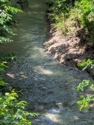 DAYSPRING NATURE PRESERVE - Updated October 2025 - 45 Photos - 900 ...