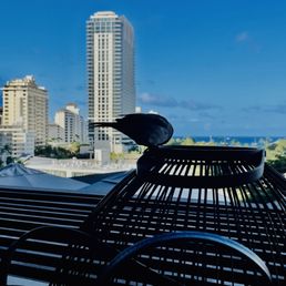 SOLERA - Updated November 2025 - 1848 Photos & 270 Reviews - 383 ...