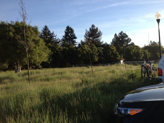 A PLACE TO PLAY - Updated October 2025 - 17 Photos & 14 Reviews - 2375 ...