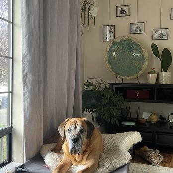 SUMMIT VETERINARY REFERRAL CENTER - Updated January 2026 - 60 Photos & 321 Reviews - 2505 S 80th ...