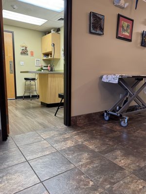 CHICAGO EXOTICS ANIMAL HOSPITAL - Updated October 2025 - 47 Photos ...