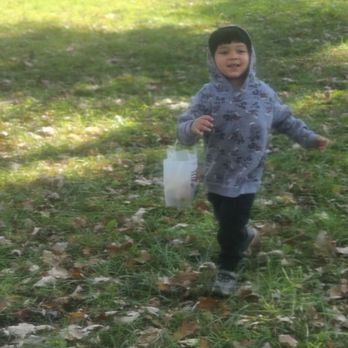 APPLE HOLLER - Updated April 2025 - 390 Photos & 639 Reviews - 5006 S ...