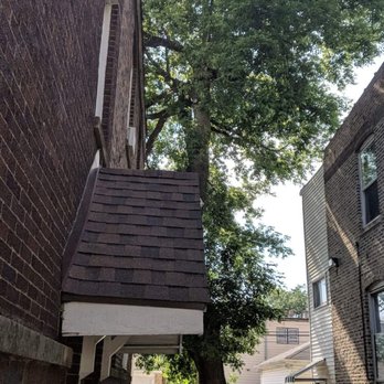 SINNOTT TREE SERVICES - Updated December 2025 - 17 Photos & 35 Reviews ...