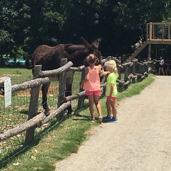 CRITTER LANE PETTING ZOO - Updated May 2026 - 55 Photos & 20 Reviews ...