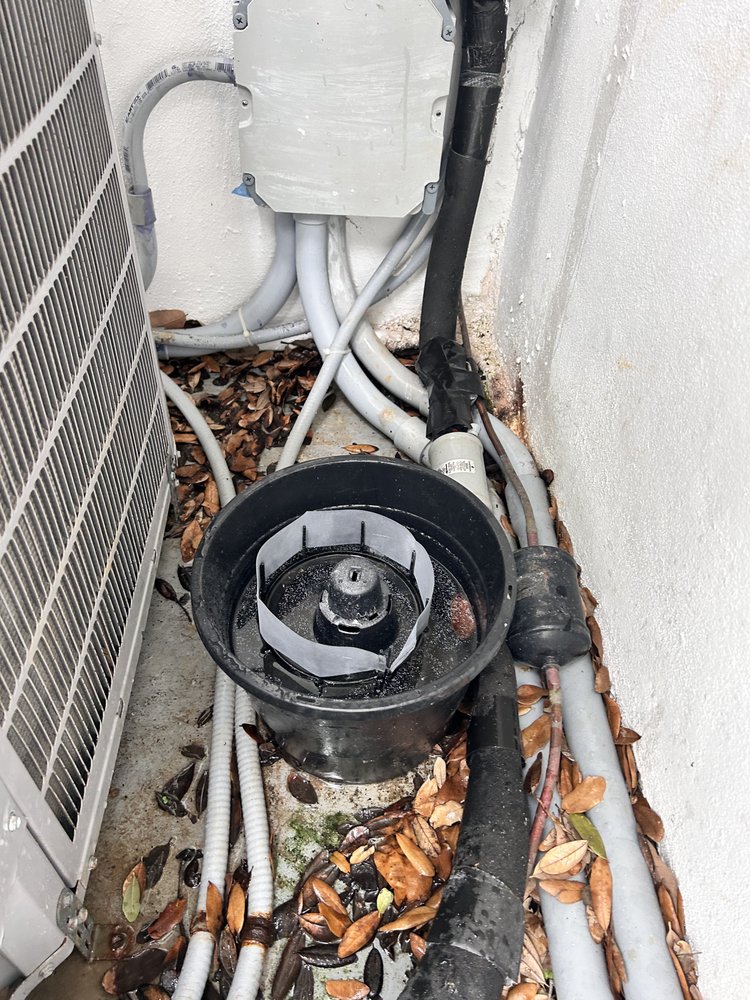 BUG BROS PEST CONTROL - Updated July 2025 - Miami, Florida - Pest ...