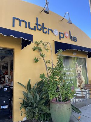 MUTTROPOLIS - Updated August 2025 - 90 Photos & 93 Reviews - 227 S ...