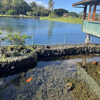 PONDS HILO - Updated May 2025 - 598 Photos & 575 Reviews - 135 ...