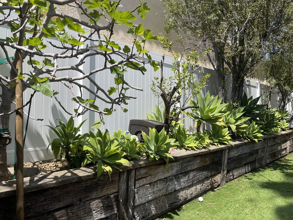 MELROSE FENCE - Updated December 2025 - 60 Photos & 55 Reviews - San ...