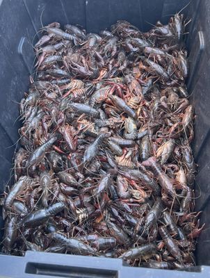 HELLO FRIEND NIGHT MARKET - Updated January 2026 - 39 Photos - 7725 ...